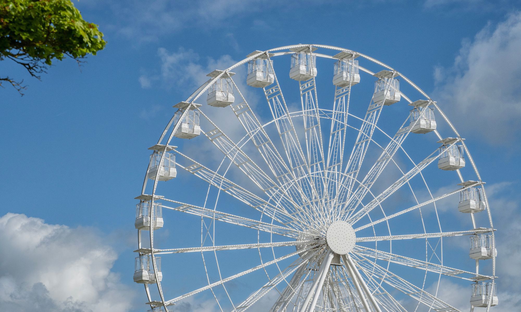 Treetop Extreme | Willen Lake